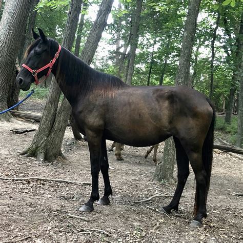 33 Joses My Maria 21402415 A Daughter Of Jose Jose Out Of A Jfk