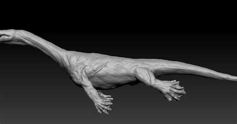 Nothosaurus Sculpt Album On Imgur