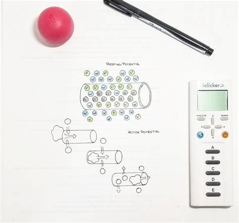 A Visual Learners Complete Guide For Effective Note Taking — Absolutely