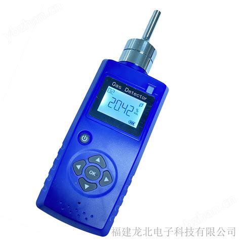 便携式甲烷检测仪 仪表网
