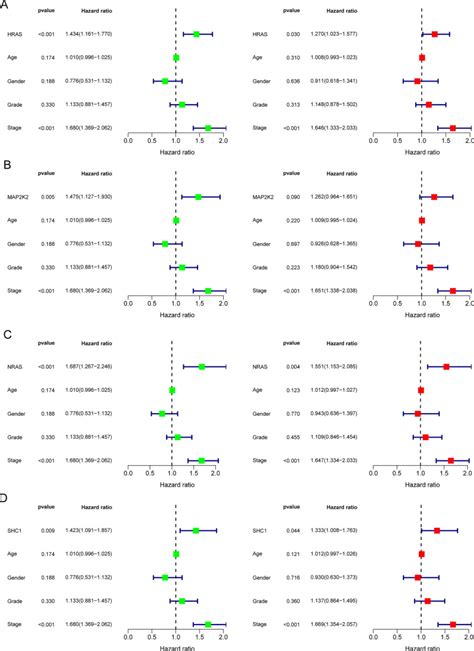 Revealing The Prognostic Potential Of Natural Killer Cell Related Genes In Hepatocellular