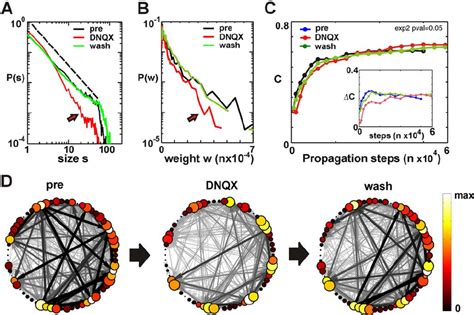 Functional Small World Topology Derived From Neural Avalanches Is Download Scientific Diagram