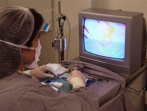 Cirurgias Dr Milton Peruzzo