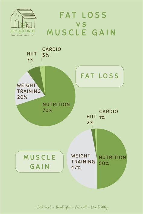 Fat Loss Vs Muscle Gain Artofit
