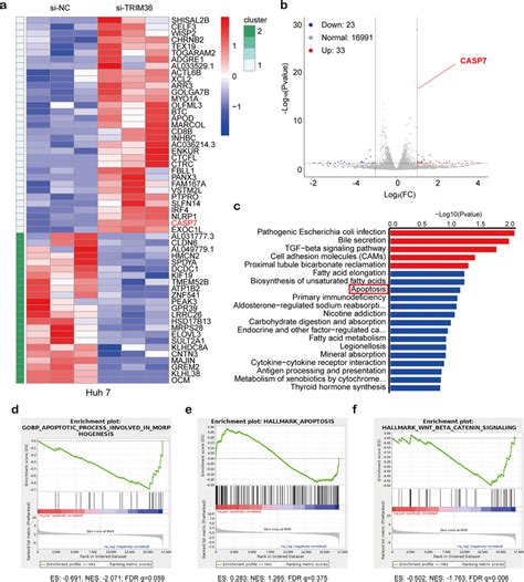 Bioinformation Analysis Of RNA Seq Assays A Heat Map Showing Download Scientific Diagram