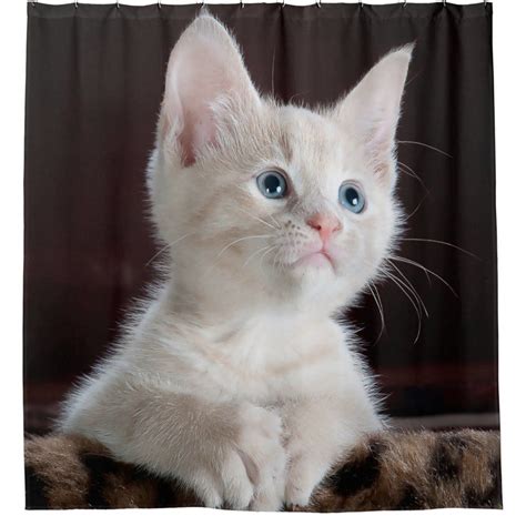 Kitten Shower Artofit