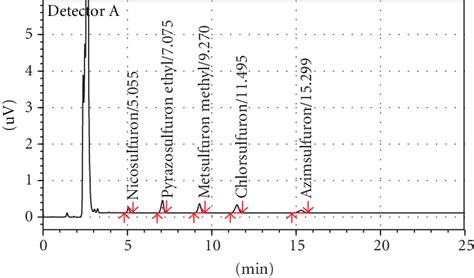 Representative Chromatogram At Fortification Level Of 005 µgml