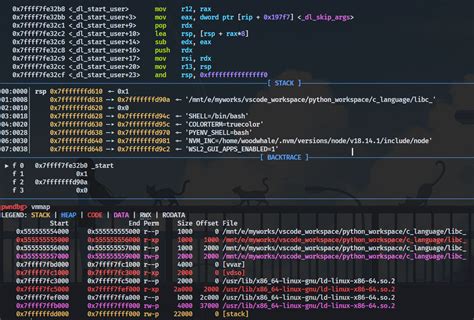 OSLinux Process Memory的探究 anon linux CSDN博客
