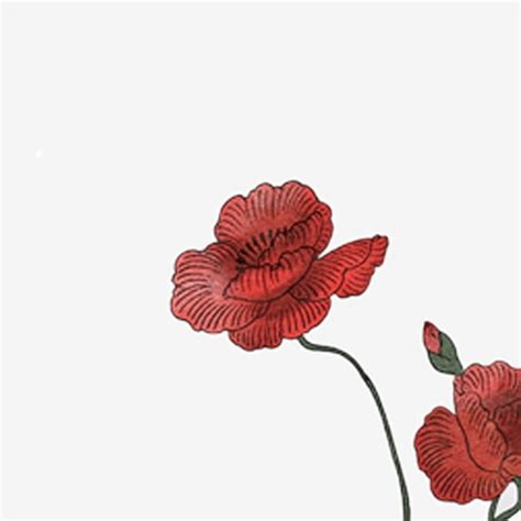 美麗鮮花 紅色花朵 鮮花裝飾 春天花朵 創意卡通下載 卡通粉色鮮花下載 春天花朵素材圖案，psd和png圖片免費下載