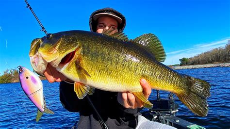 Fishing Big Swimbaits All Day Pays Off Youtube