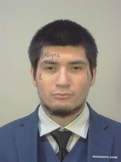 Reyes Neftali N A 08 25 2024 Dane County Mugshots Zone