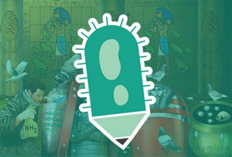 Cryptococcus Neoformans Osmosis