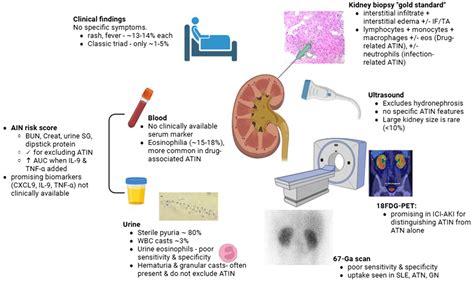 Clinical Tools For The Diagnosis Of Acute Tubulointerstitial Disease