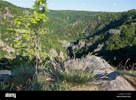 Bode Schlucht Hi Res Stock Photography And Images Alamy