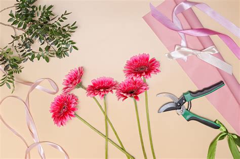 거베라 꽃 가지 치기 가위 포장지 및 리본 평면도 플랫 레이가있는 플로리스트 작업장 0명에 대한 스톡 사진 및 기타 이미지