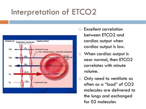 Ppt Capnography The Ventilation Vital Sign Powerpoint Presentation