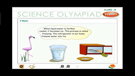 Science Scienceolympiad Scienceolympiadclass3rdscienceolympiadquestionpaper Youtube