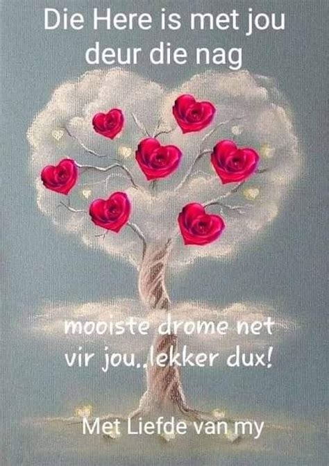 Pin Van Tess Human Op Goeie Nag Hart Van Goud