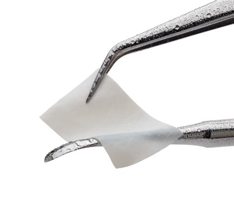 Dental Membrane Market Size And Projection