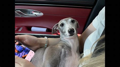 킹율 깜짝 라이브 ㅋ Youtube