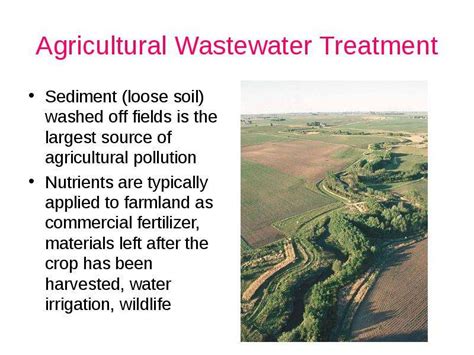 Water Pollution презентация доклад проект скачать