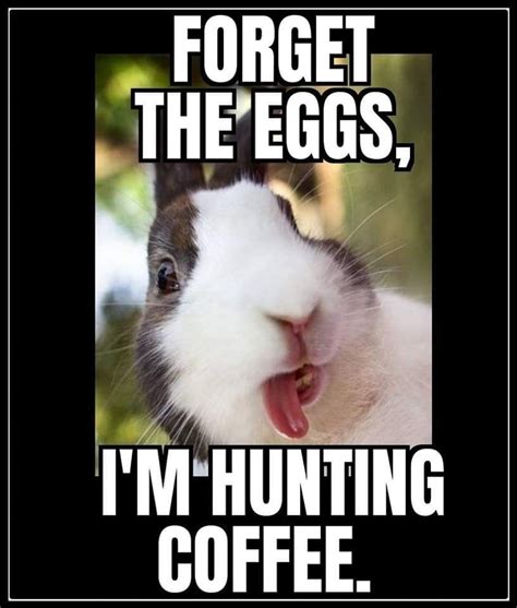 Funny Easter Bunny Meme Forget The Eggs Im Hunting Coffee