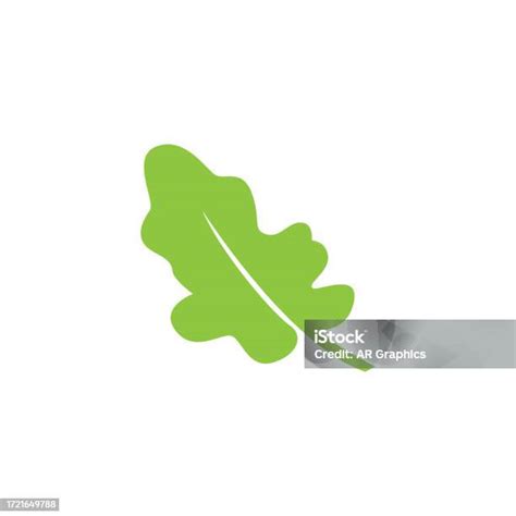 Desain Logo Daun Oak Vektor Tanaman Hijau Sederhana Ilustrasi Template