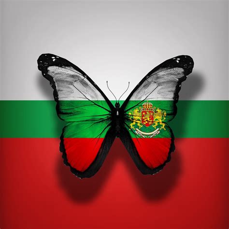 Българско Училище в Япония Сладкопойна Чучулига
