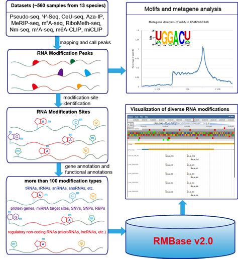 Decoding The Landscape Of Rna Modifications From Transcriptome Sequencing Data Seqanswers