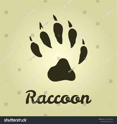 Raccoon Tracks Raccoons Paw Print Raccoon Stock Illustration 2247595441