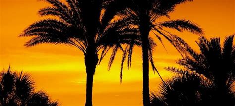 Best Places To Live In Pinellas County Florida Big Mans Moving