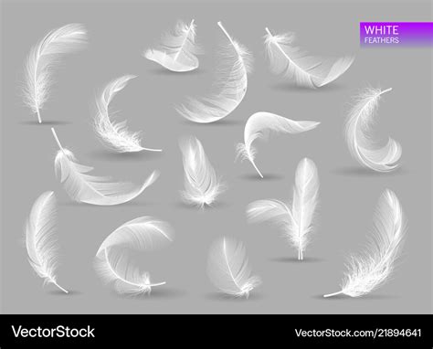 Realistic Feathers White Bird Falling Feather Vector Image