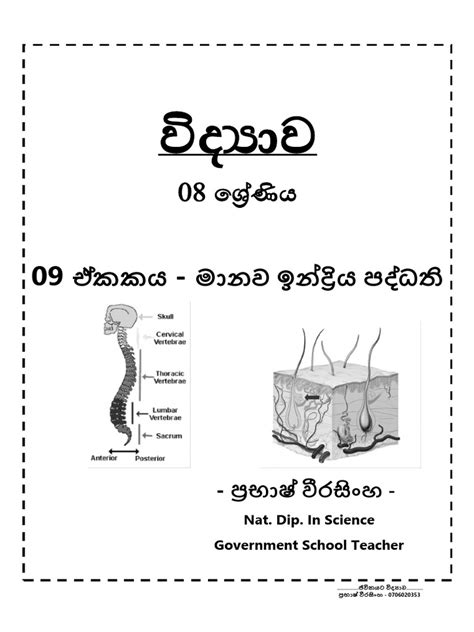 09 මානව ඉන්ද්‍රිය පද්ධති Pdf