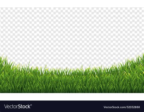 Grass Bottom Border