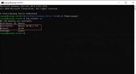 How To Access Windows File Subsystem For Linux From The Windows File Explorer 10 Poinwindows