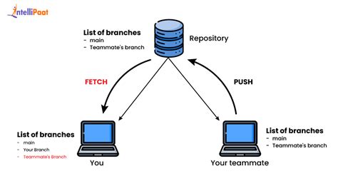Git Fetch Vs Git Pull Key Differences Use Cases And Examples