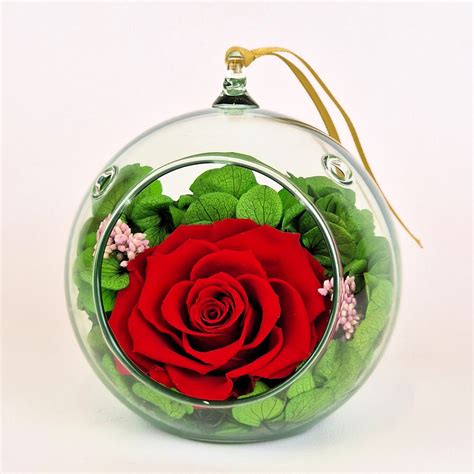 Glaskugel Mit Echter Rose Blumenversand Edelweiß