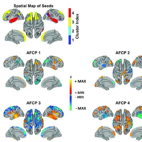 Resting State Functional Connectivity By Fnirs Hbr And Fmri Download
