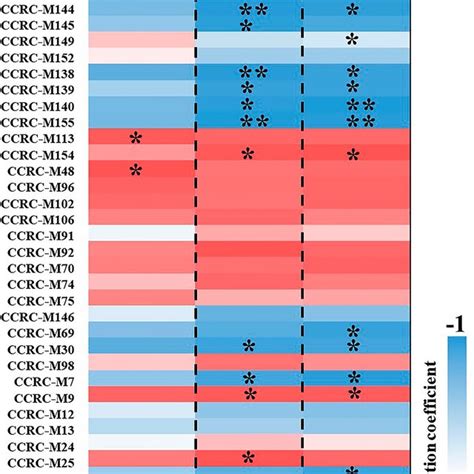 Correlation Matrix Between Physical Properties And Chemical Epitopes