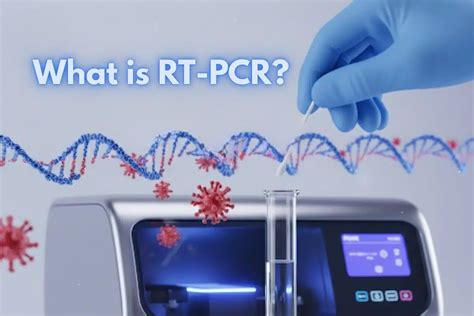 What Is Rt Pcr Physio Talk Official