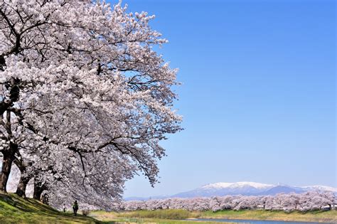 By Tsuwari Id Photohito