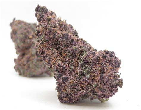 Tropicana Cherry ~ 150oz Top Cola Delivery