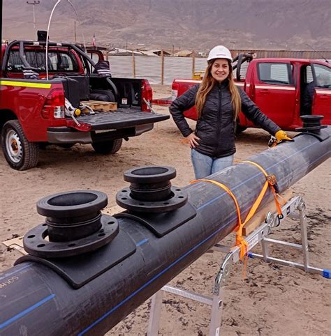 Carmen Gloria Cerda Jacobo Posted On Linkedin