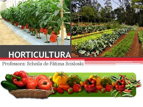 Curso Online De Horticultura B Sica Buzzero