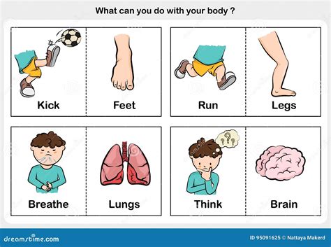 Function Stock Illustrations 12 666 Function Stock Illustrations