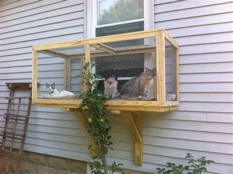 Pin By Francis Forand On Meli Melo Cat Window Outdoor Cat Enclosure