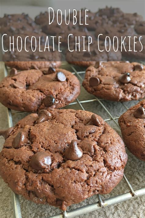 Vegan Double Chocolate Chip Cookies Susiechef