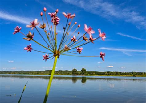 Trešdiena Pārsvarā Būs Saulaina Vietām Gaidāms īslaicīgs Lietus