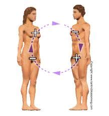 Sex Myths Busted Why Almost Everything You Know About Sex Is Slowly Killing Your Love Life