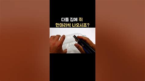 다들 집에 쥐 한마리씩 나오시죠 다큐 Documentary 다큐멘터리 일상 Youtube